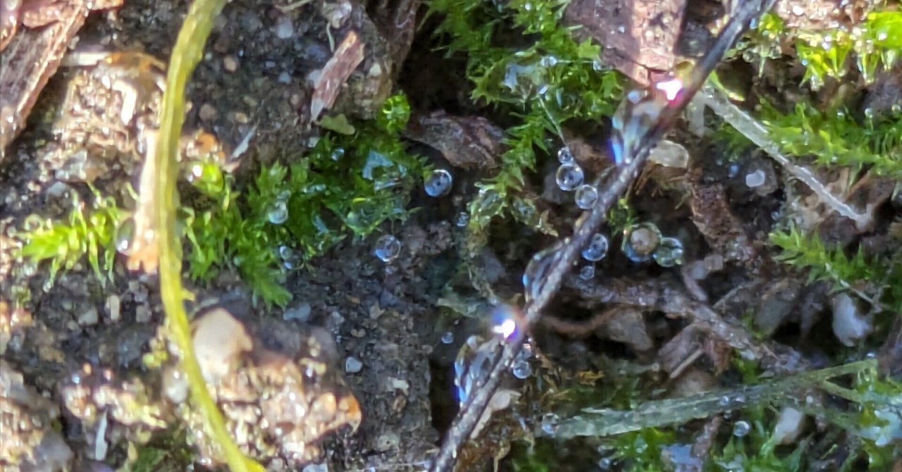 一枚の画像〜探してたもの｜ichiro70