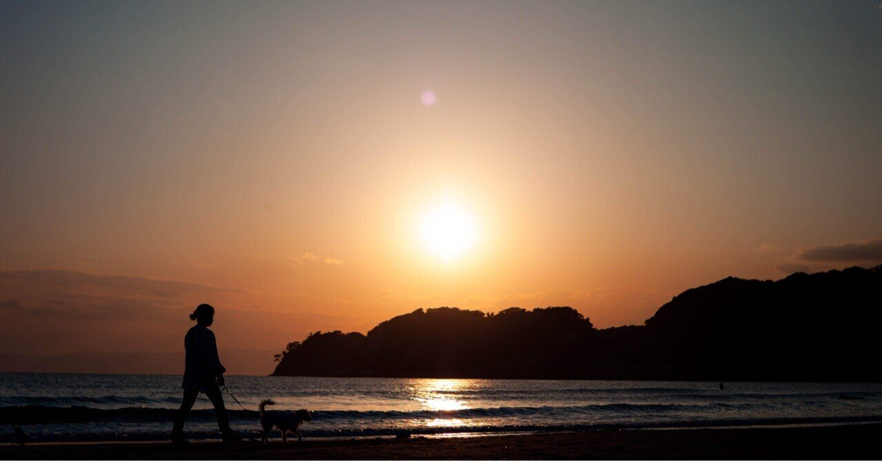 Leica M8 snap｜shirasu camera