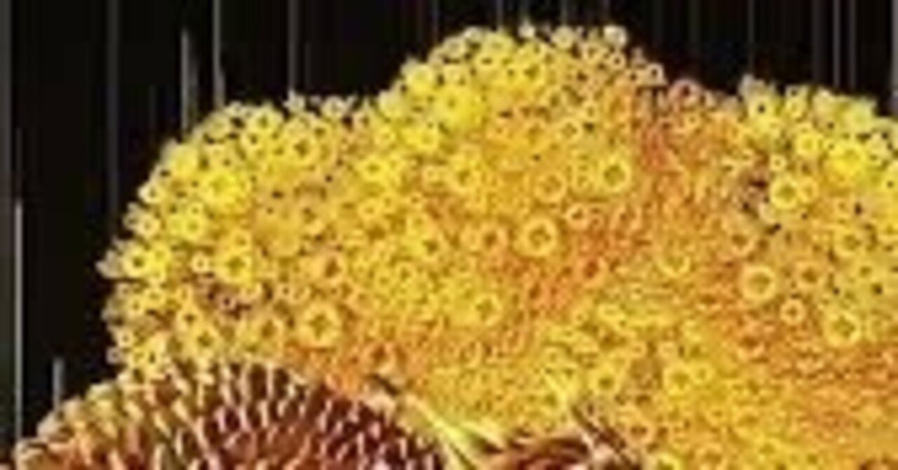 小田原8R14:05🔥🔥🔥｜#ゴロリ #競輪予想 #万車 #開運 #金運