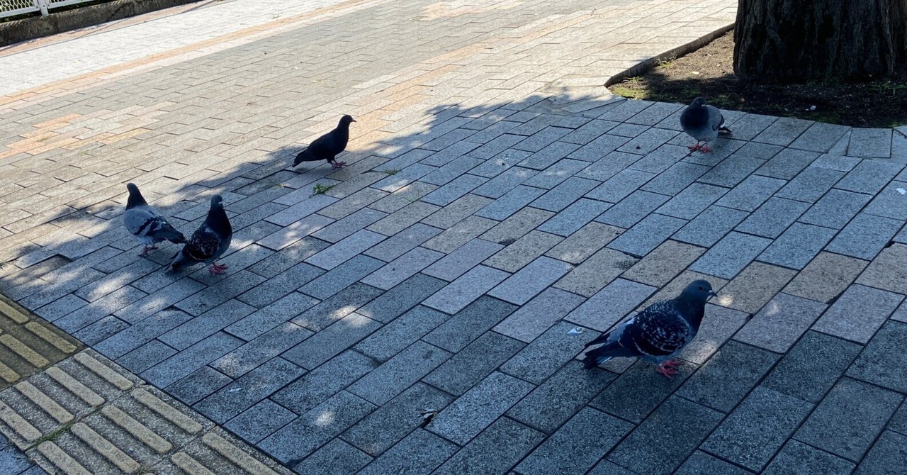 ふと・・・思う｜poporin