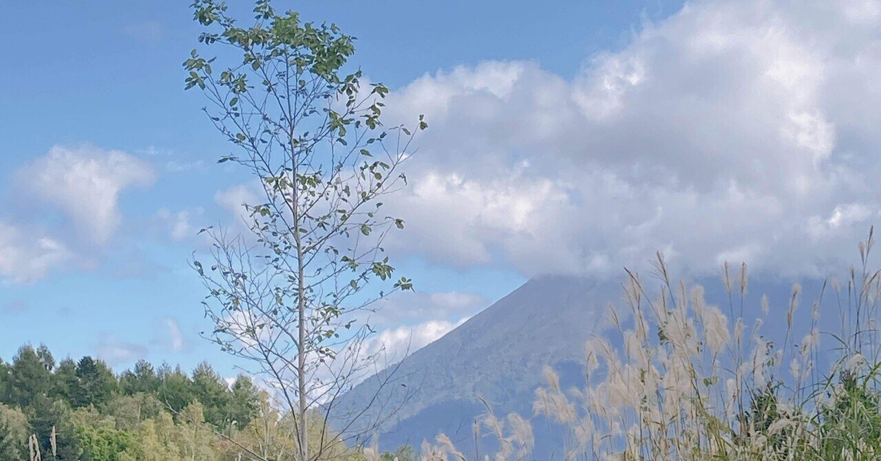 風邪のひきはじめに食べたいものはこれ！｜asami_keto