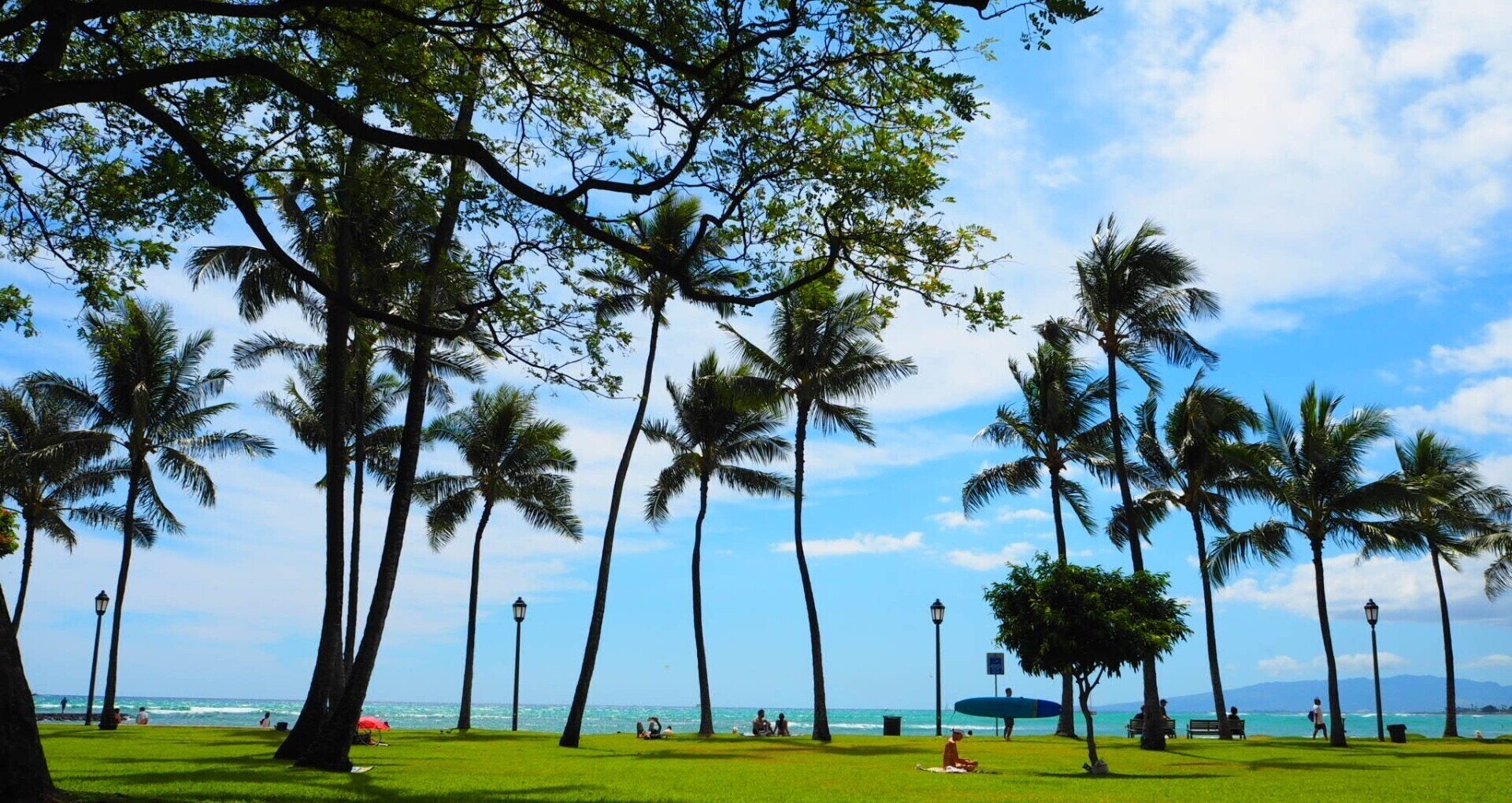 Mayuko Iwamoto, Ph.D.｜note