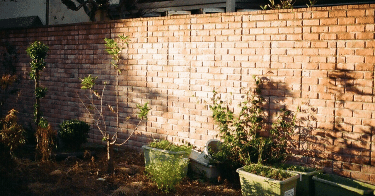 20231012｜休職日記 / nohk