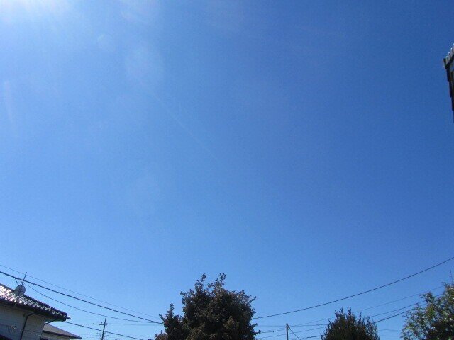 本日は、気持ちの良い秋晴れであり、事務所から帰宅後、1時間休憩、いつものトレーニングに出掛け、いつものメニュー、特に、ベンチプレスとスタンディングバーベルリフティングで、汗を流し、手応えあり