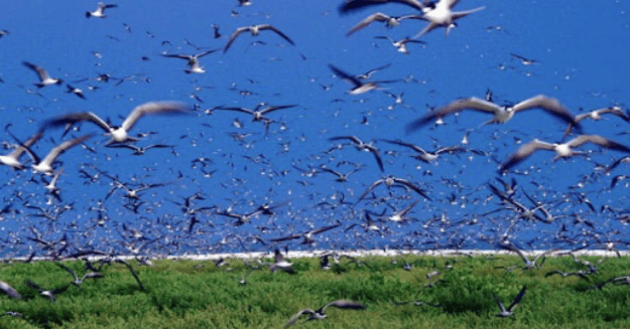 連続小説(120) 若々しさ｜T.HOSHI