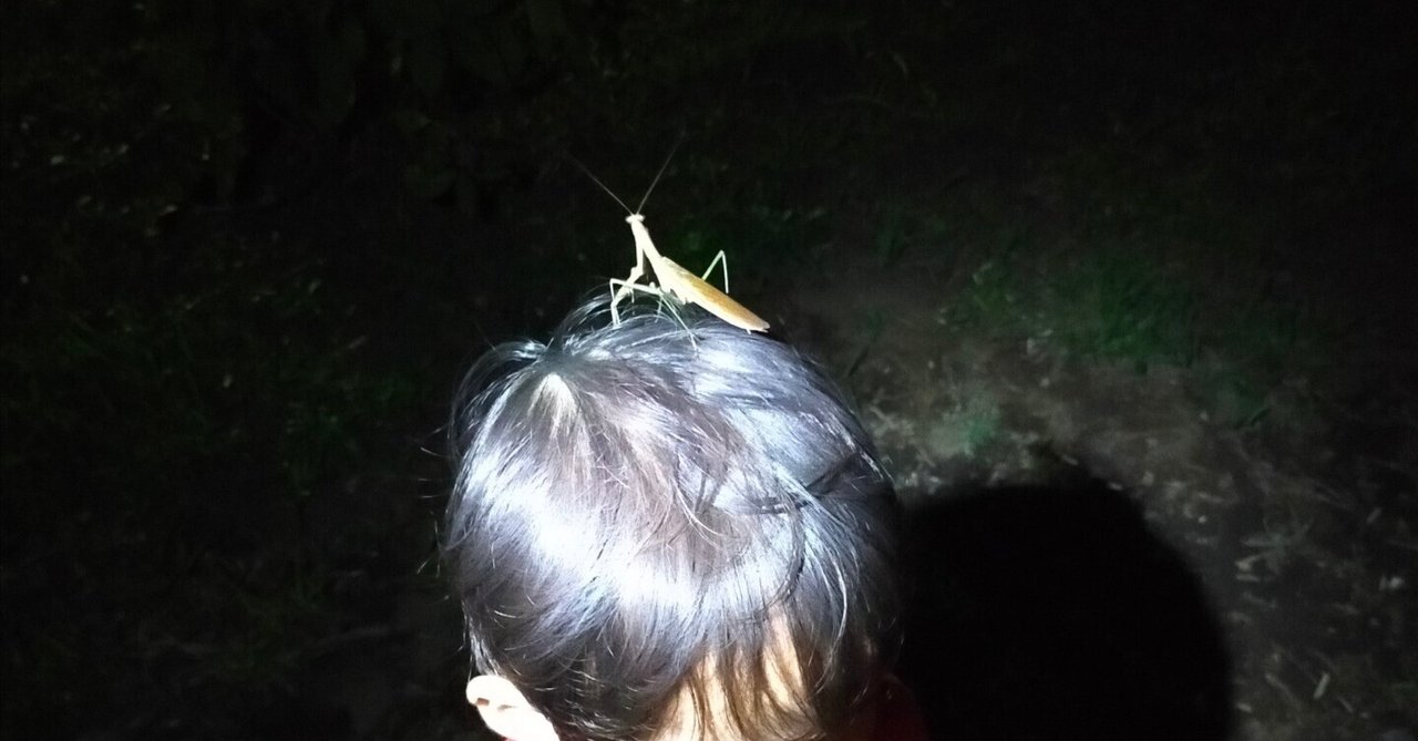 日々のこと2023.10.10〜13｜ie_tsukuru