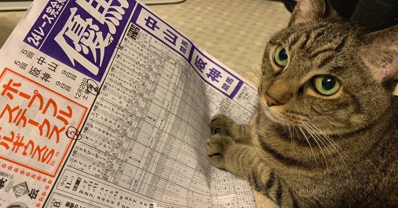 1014🔥緊急勝負レース🔥京都6r1255【3歳以上1勝クラス】200円💰 ️|【ちゃっぴー師匠の競馬予想】