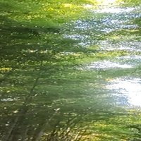 Iro Eriko【少しずつ小さく起こすキセキ】｜note