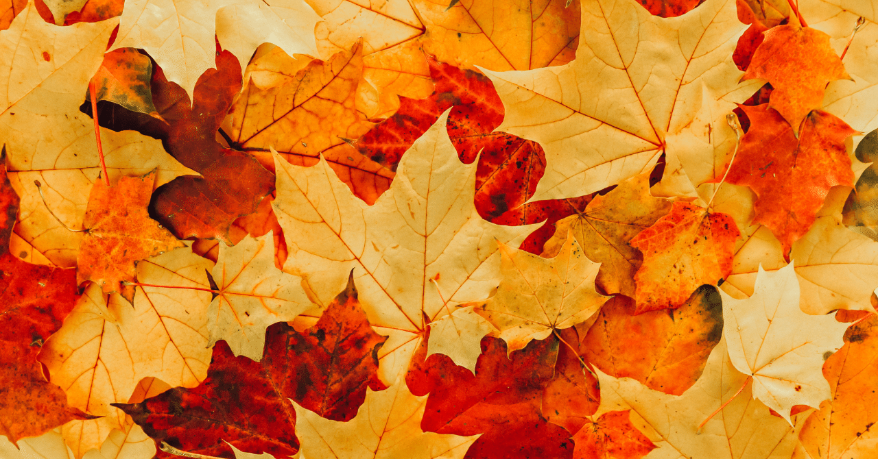 「泣き虫」 公開されました｜DJ Shinsuke ! / Shinsuke Ohashi / 大橋信介 / シンスケサイザー