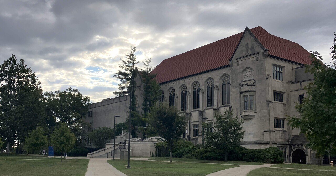 my schedule｜Yui Suzuki