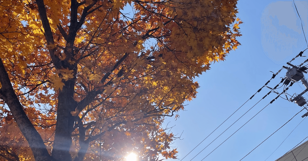 note始めてみます｜somae