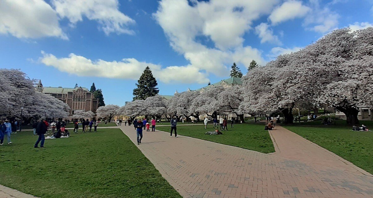 私が出来るまで(出生〜45歳)｜Keiko Fry｜note