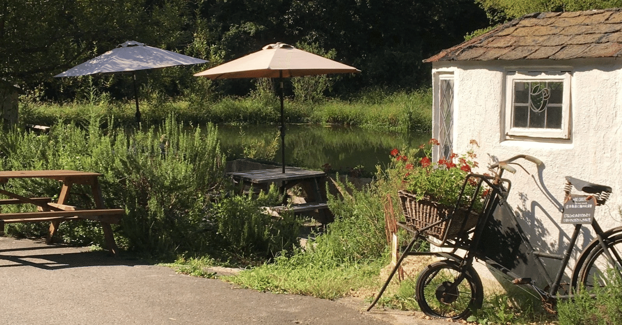 お庭の草抜きを気分よくする方法。｜味園健治 K.Misono【365日コンサルnote】