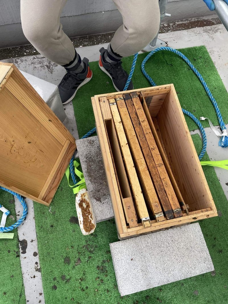 【養蜂生活911日目】｜yabusan（823）