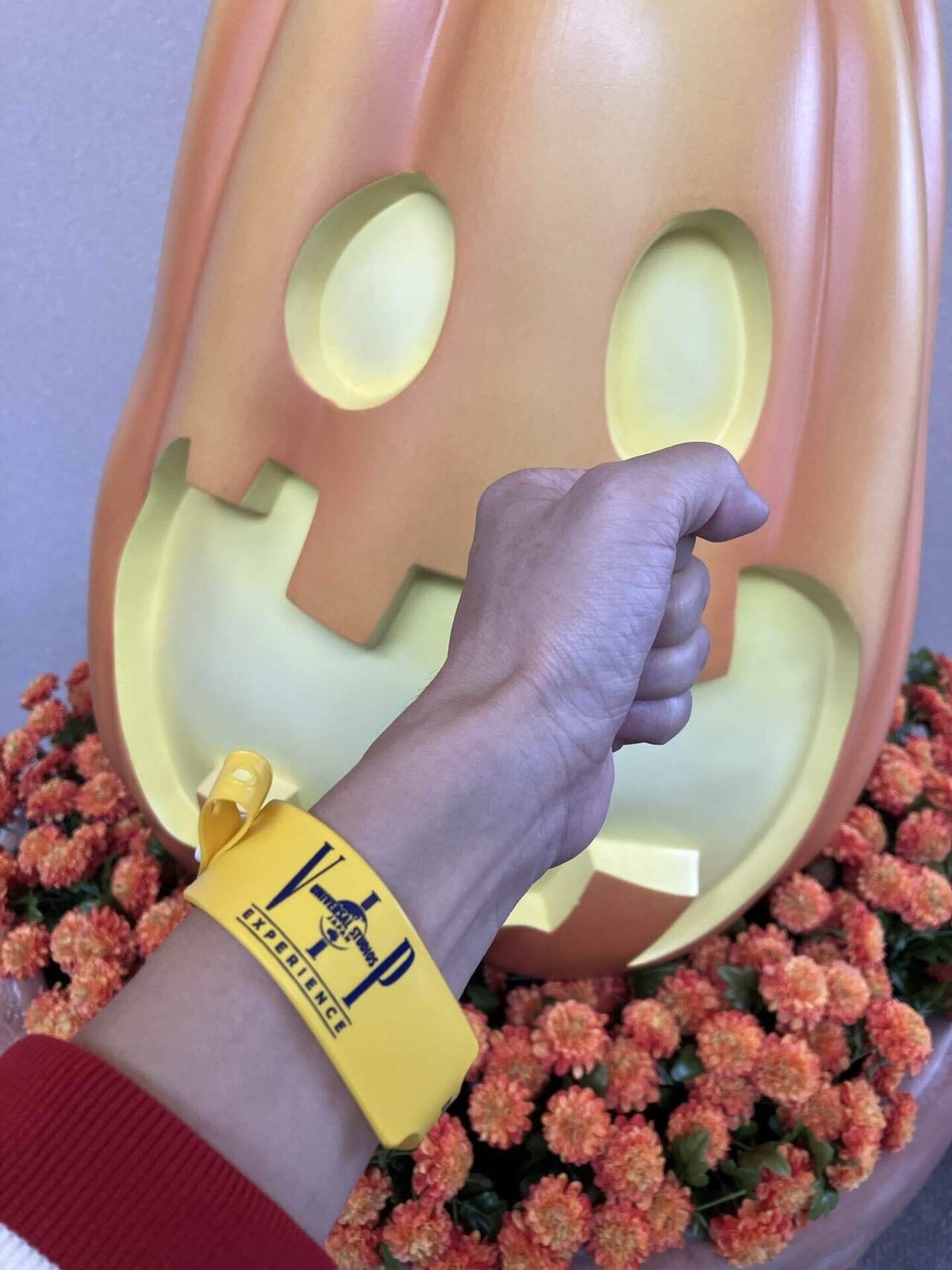 USJ VIPエクスペリエンス体験レポ⑧当日編その7～閉園まで～｜こぺまま