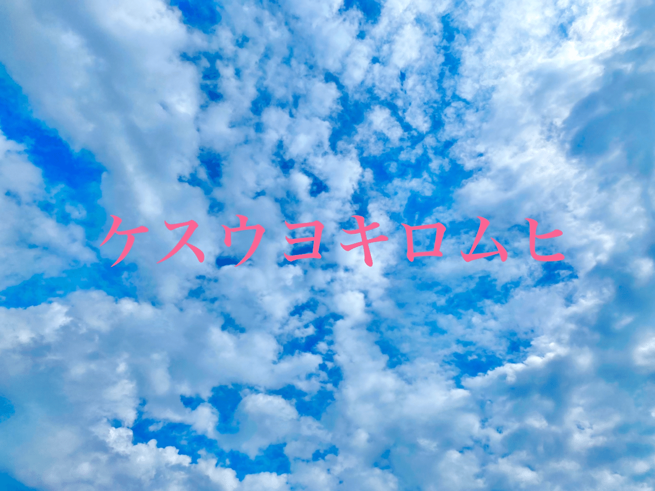 vol.487 ケスウヨキロムヒ｜夏芳里