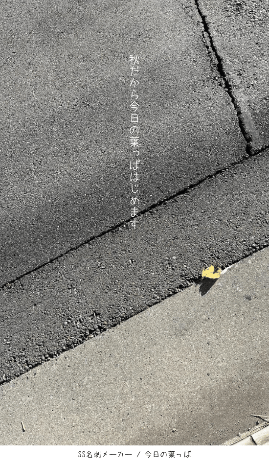 葉っぱのかわいさを届けたい。 撮った一枚がちょっと切なくて 道の葉っぱ写真展をやりたくなった朝。 https://note.com/pupupu0901/n/n23afbaf72ee3 ふう ...