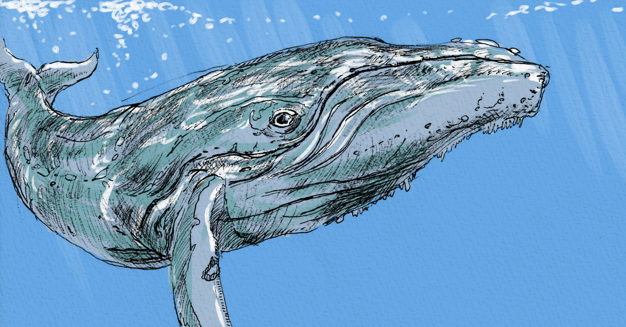 超絶簡単にNFTってなに？について書いてみた｜ryosan💪