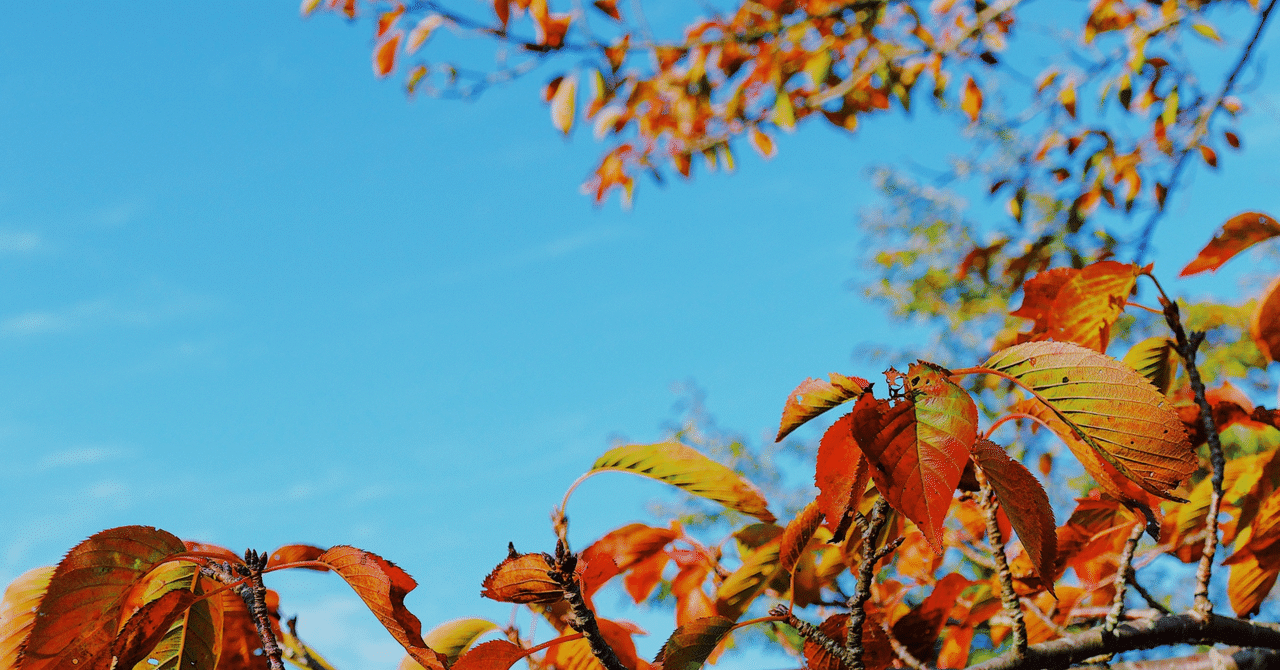 常滑5R 12：43｜競艇マニア