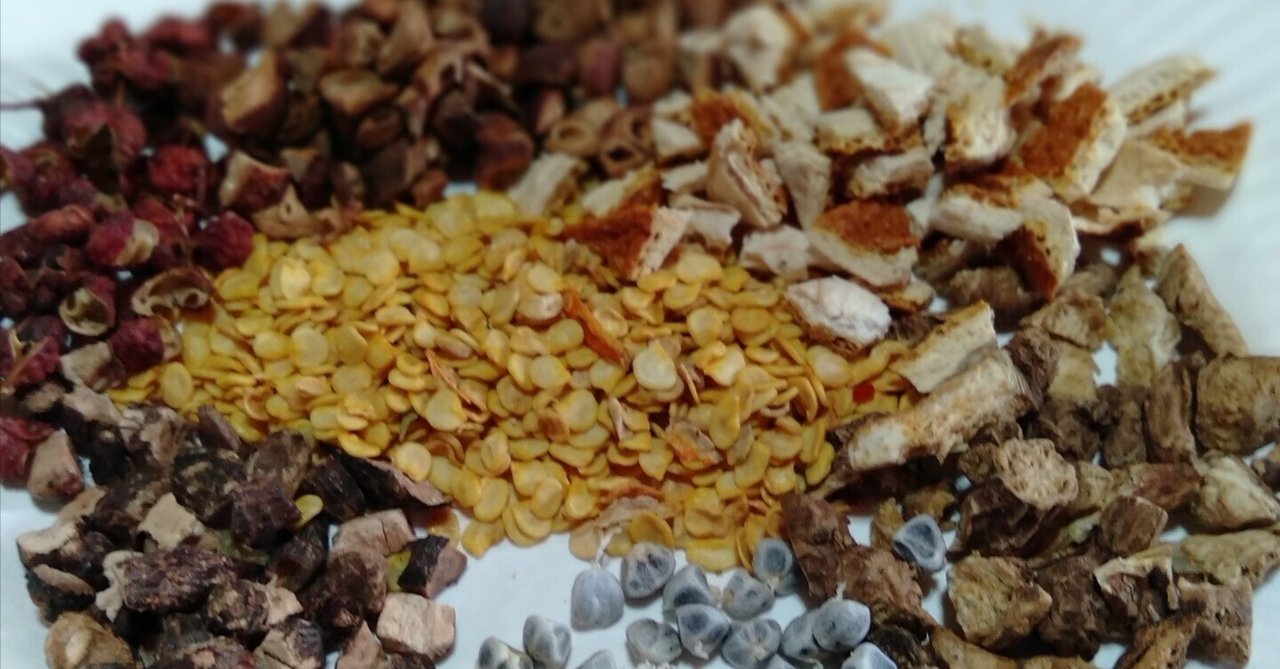 出会いとお勉強の日でした〜｜Funao Haruna