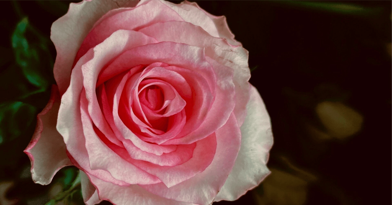 【Amazon】今日の反省｜neji bit