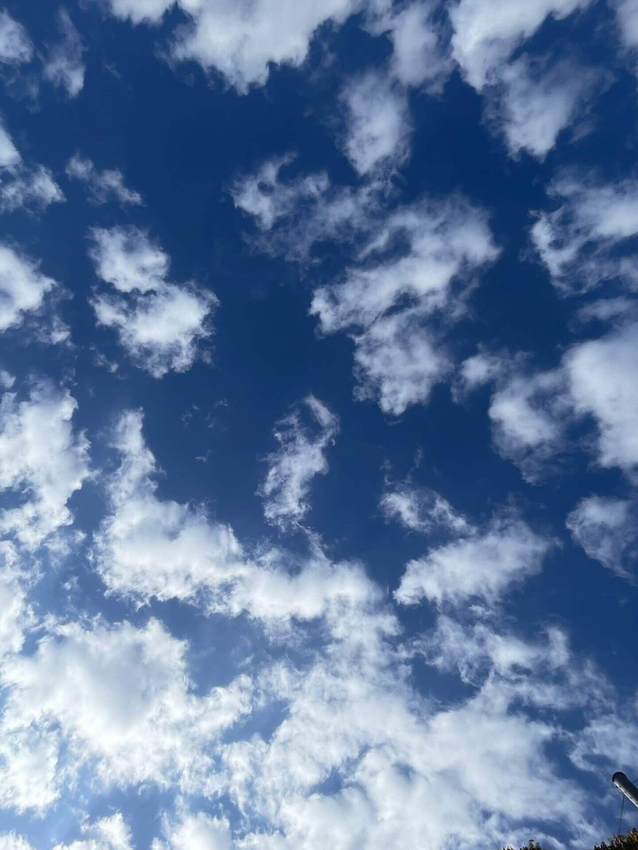 秋空、羊を数える…｜Hiroaki MORI