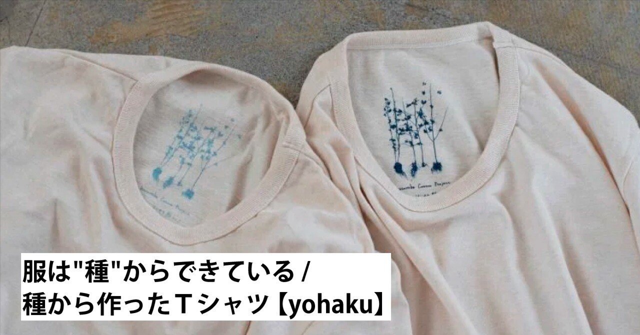 服は"種"からできている / 種から作ったTシャツ 【yohaku】｜うなぎの寝床