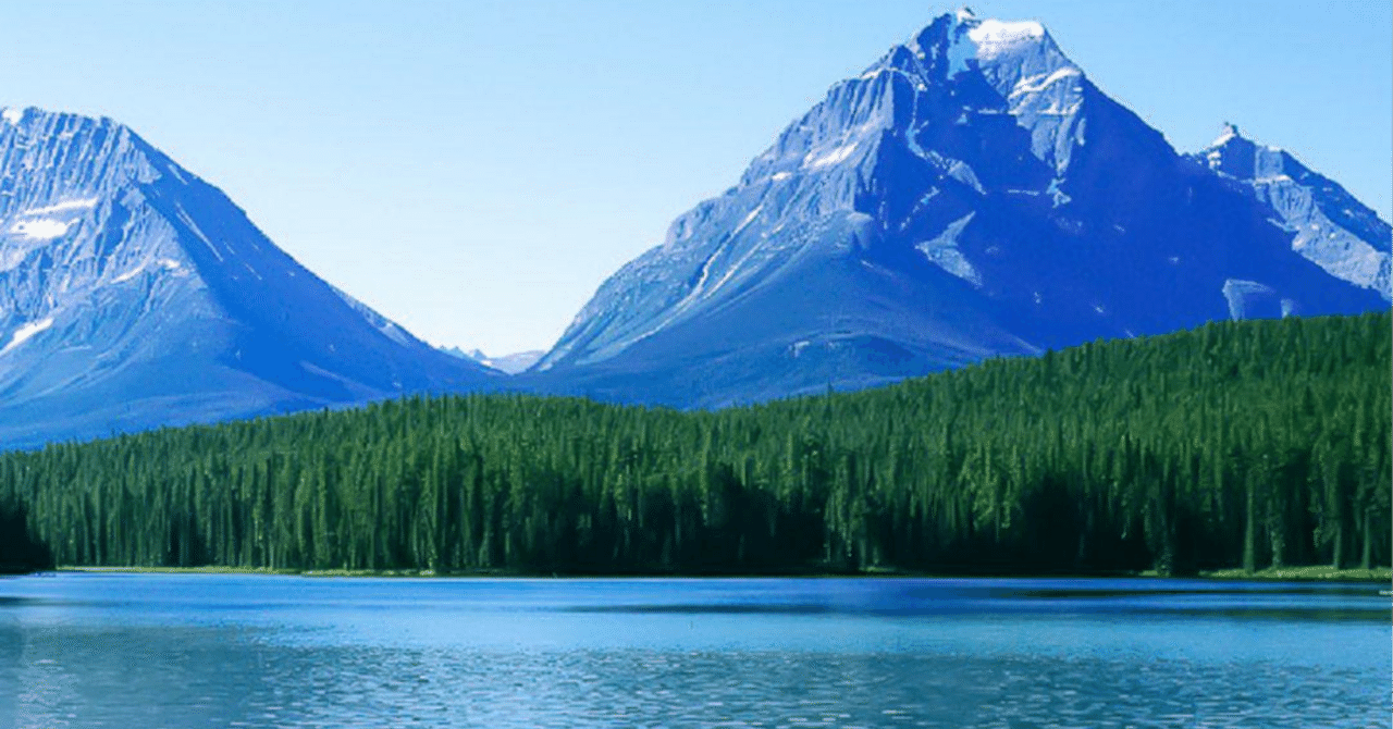 『カウントダウン』開始、…間近です💐｜Naturalflavor「BASAKI」