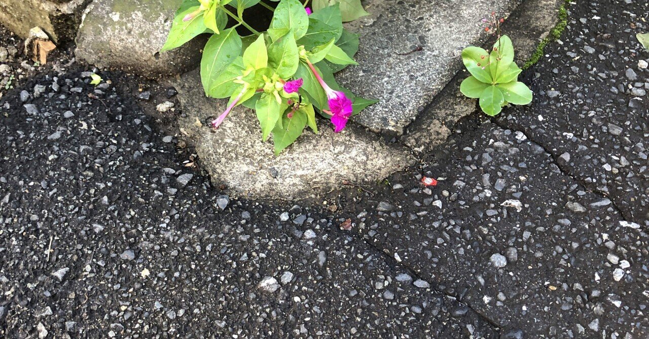 おくりびと｜Noro Daiki