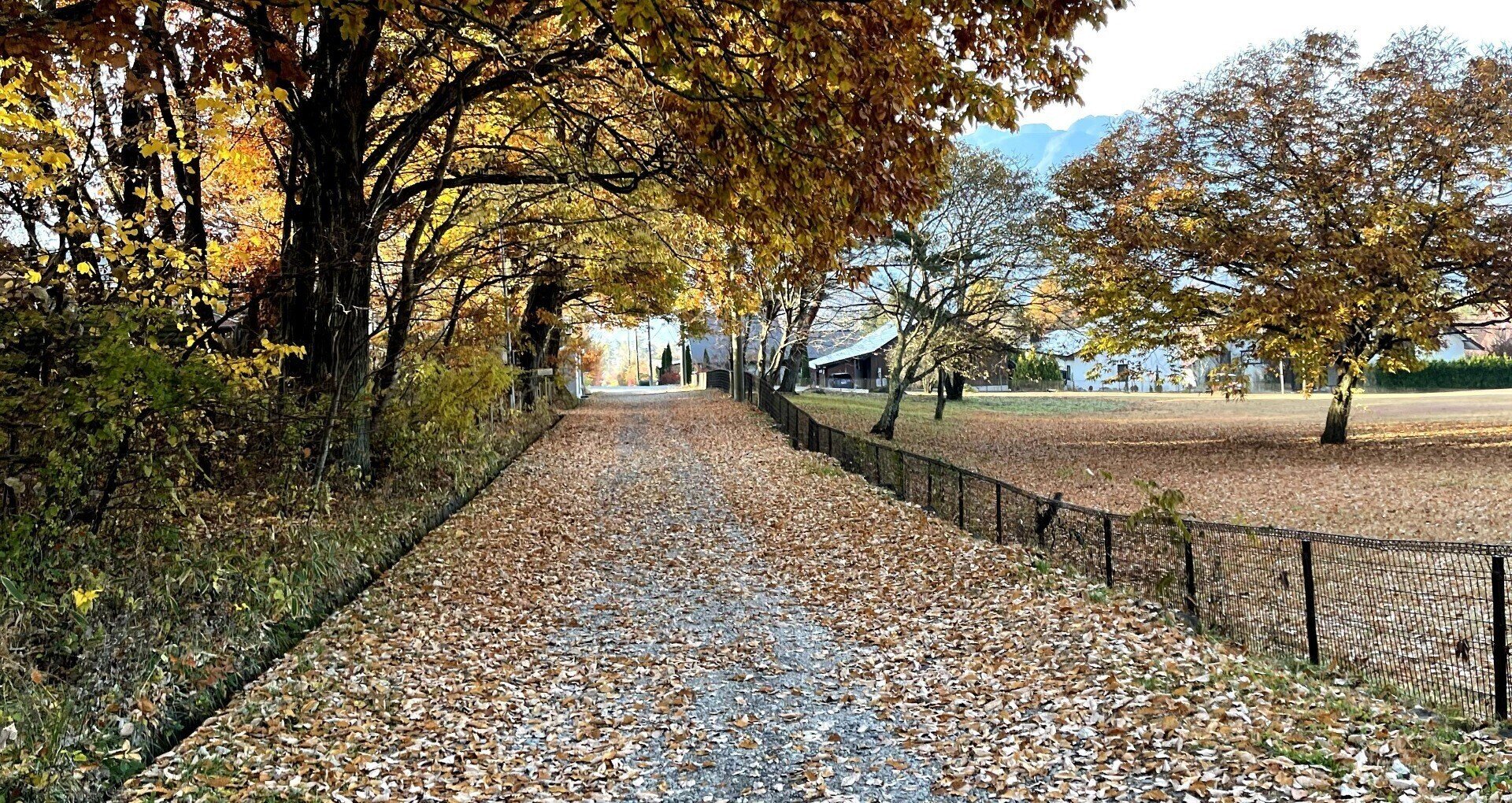 Keisuke Satou｜note