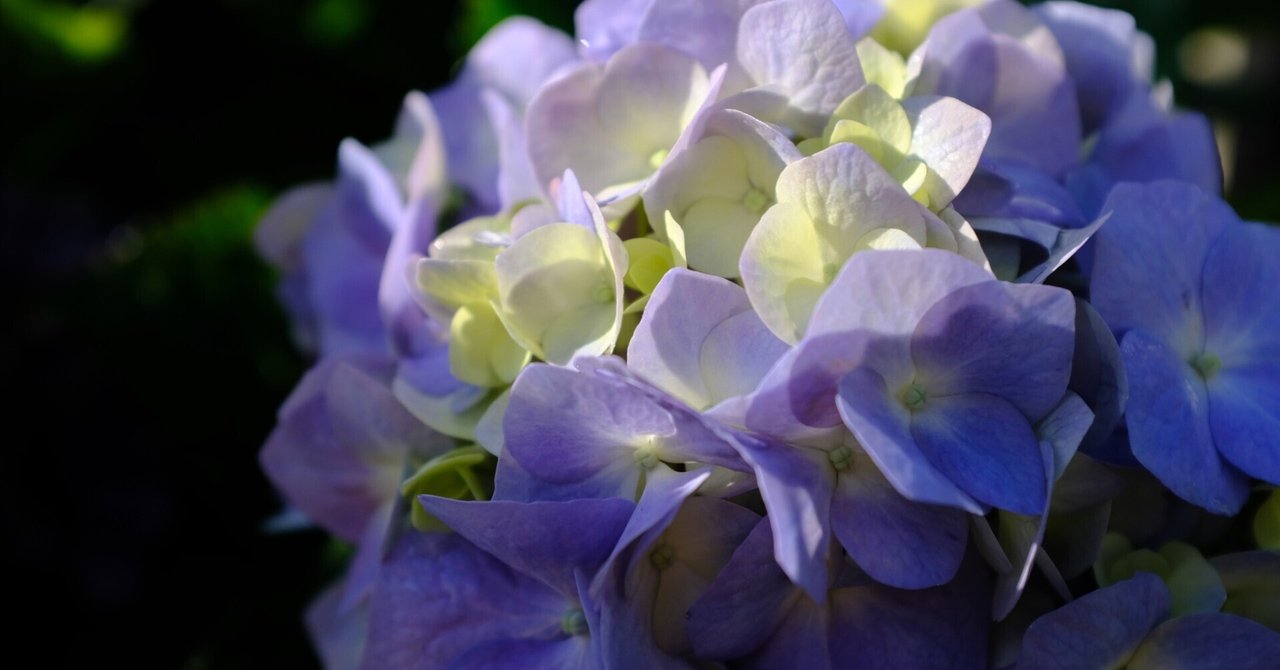 X100Fと歩いた四季｜Masayoshi Iwasaki