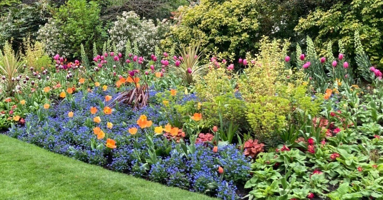 花への問いかけ｜Atsuko