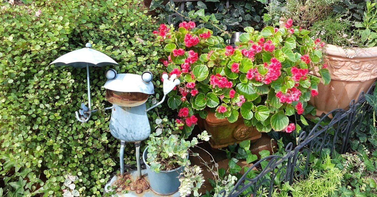 下手でも…続ける｜虹の彼方から Bright day EIKO