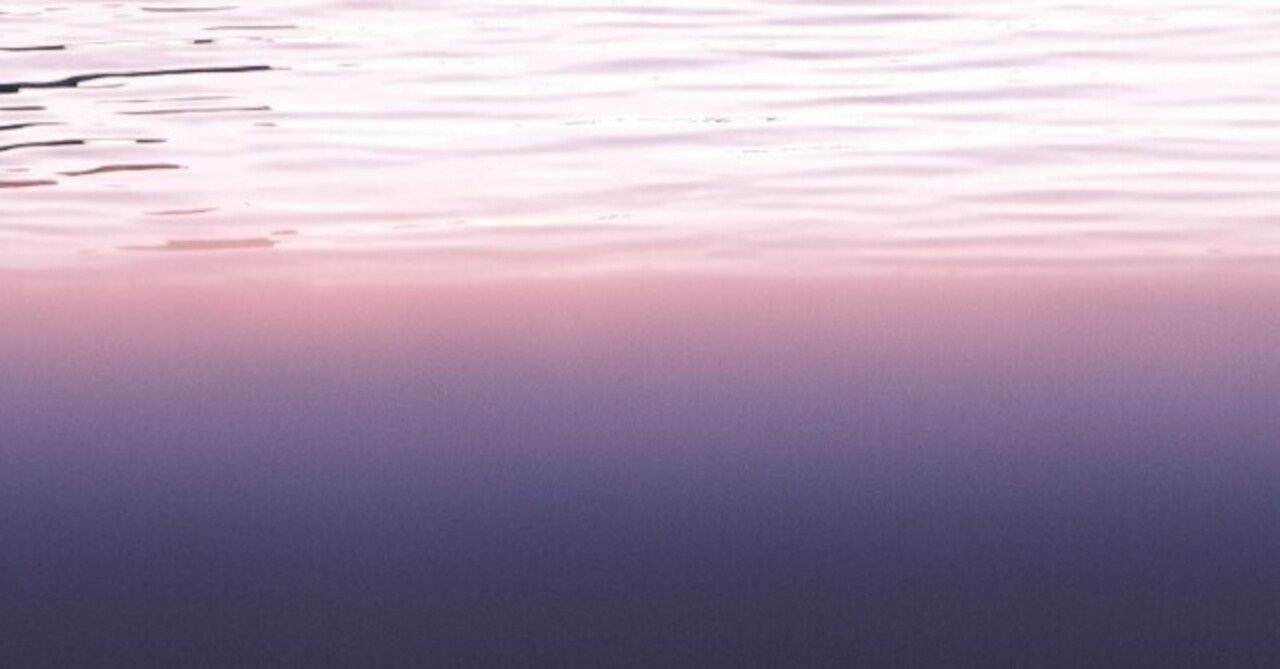 カメラが教えてくれる日常の豊かさ｜Kaho Hashimoto