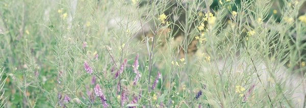 Kaho Hashimoto｜note