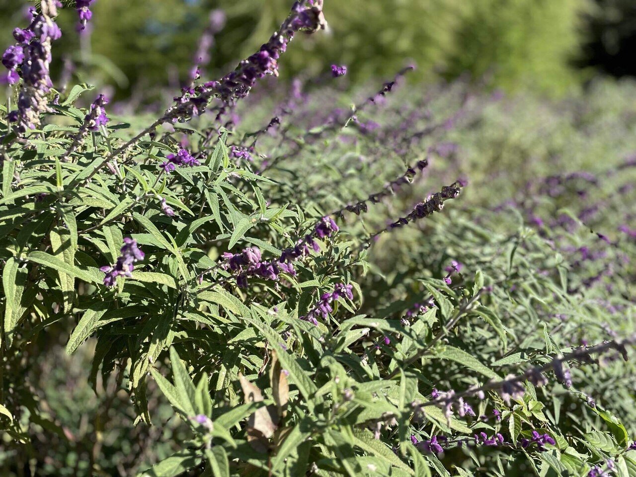 風の強い一日｜Hiroaki MORI