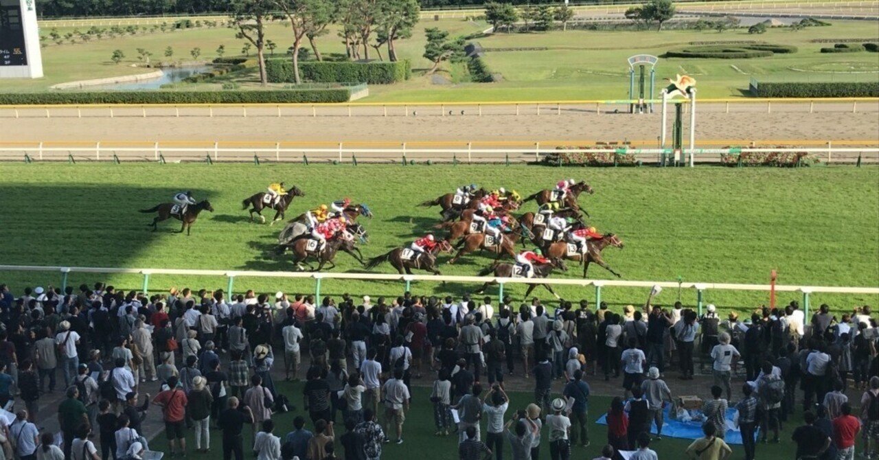 【激熱👊穴馬勝負レース🚀🔥】【新潟5r】2歳未勝利（発走時刻12時15分）｜さやだま