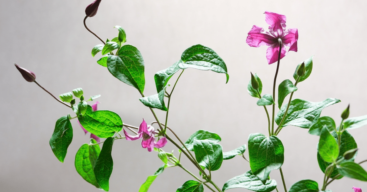 ubuntu 23.04ja docker install 2023-10-21｜blue06_2022