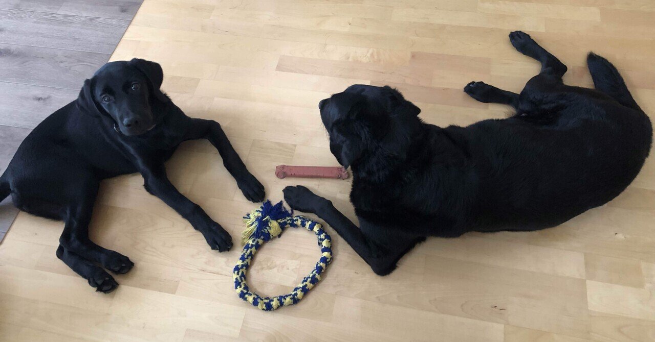 あなたの関心の視力は？｜ユメカ（Yumeka.yy）