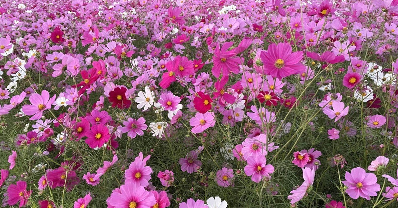 彼女との価値観の違い｜kazu