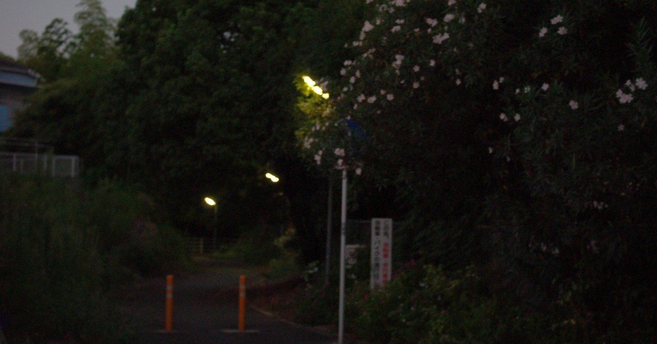 左側の視界｜ソノダ テンパ (Takeru Sonoda)｜note