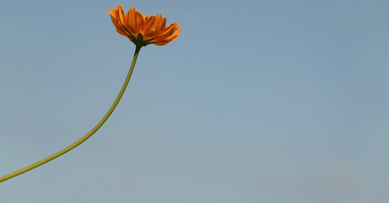 寝ながらパソコン用デスクを買いました｜neji bit