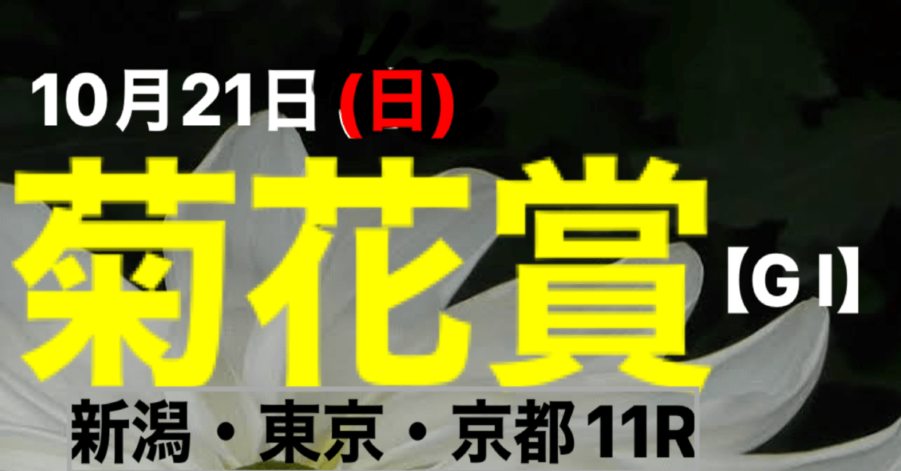 10月22日(日)菊花賞【G I】新潟・東京・京都11R｜パドック師匠【PD master】公式🌐