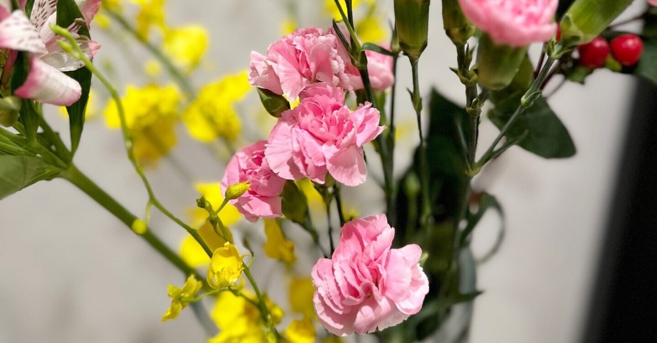 七赤金星🌹11月の運勢🌹今月、めちゃくちゃ大切だから、投げ出さないで。本気を出す時です🌹｜SAORI YAMAMURA