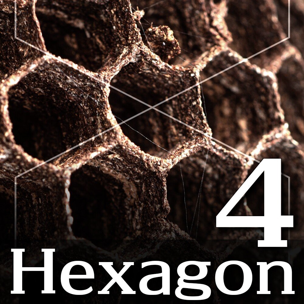 Hexagon 4｜TwI