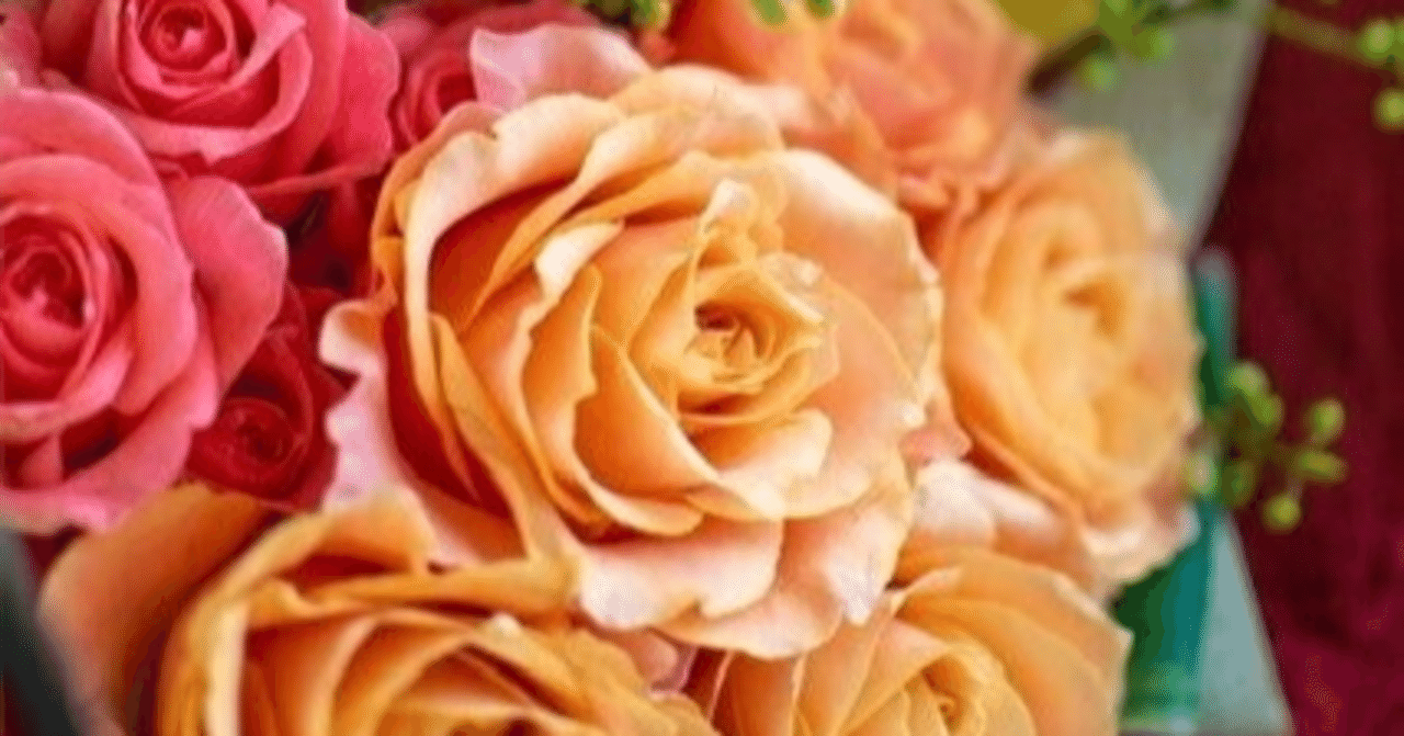 胸いっぱいの感謝を。1000フォロワー、3000スキ到達｜#振り返りnote｜BRILLIANT_S