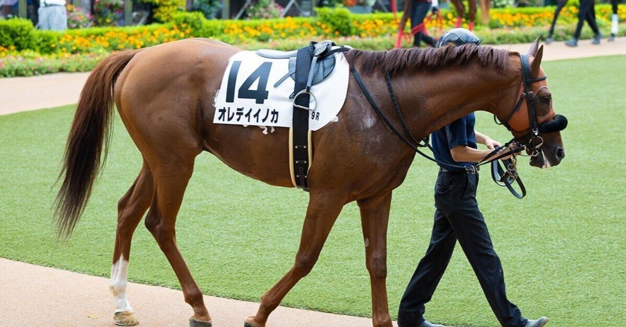 2023/10/22（日）競馬予想結果｜JRA・競馬予想