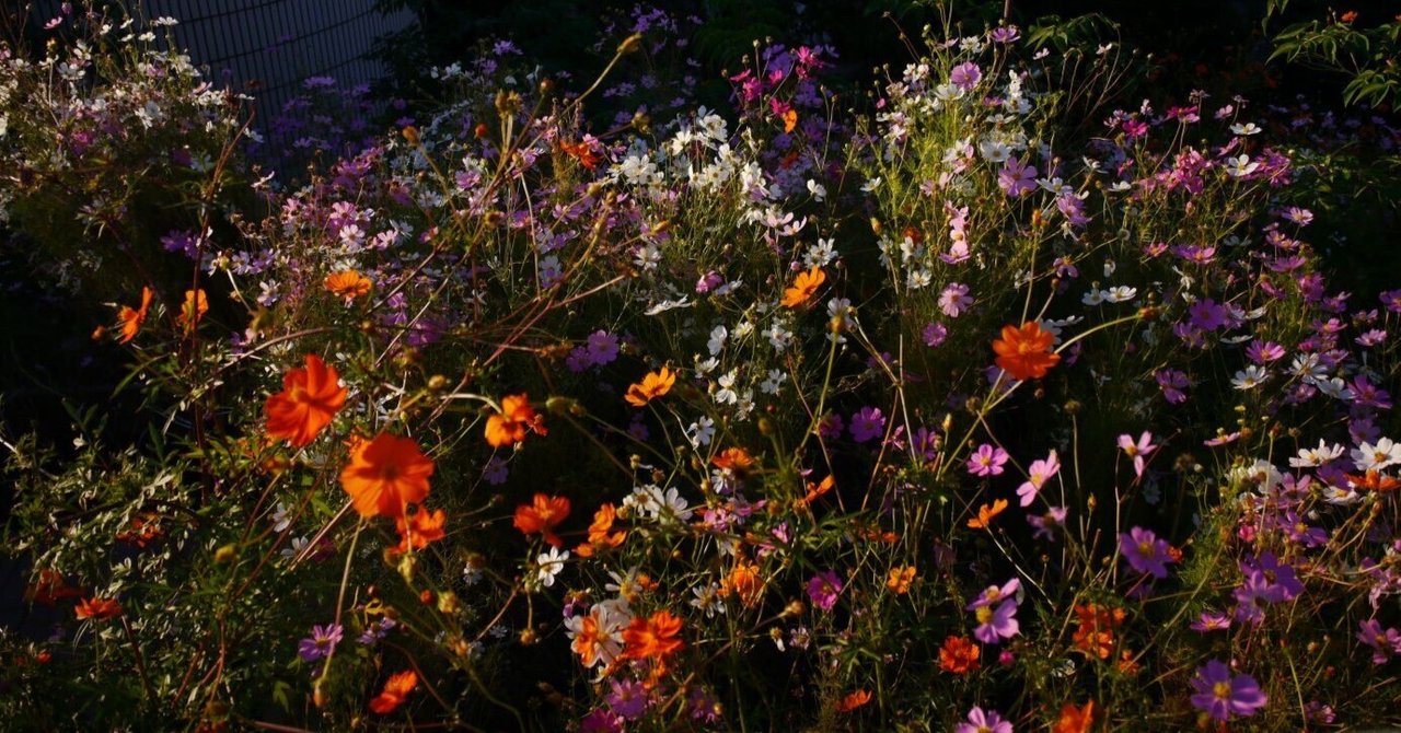 16:9｜takahiro mori