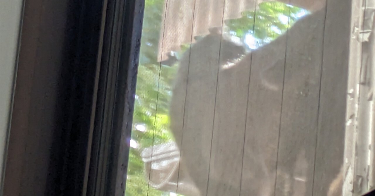 一枚の画像〜黒い訪問者｜ichiro70