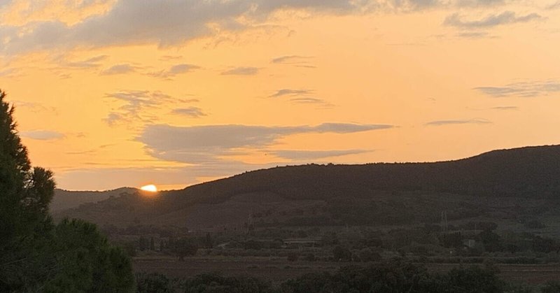 初日の朝｜OTA YUKI